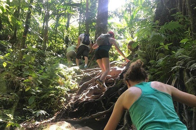 Hiking Mount Liamuiga Volcano in St Kitts - Final Thoughts