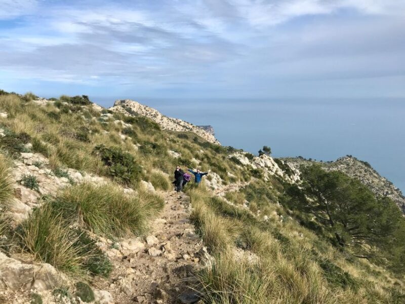 Hiking on Alcúdia Peninsula - Why This Tour Stands Out