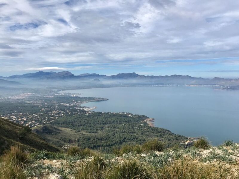 Hiking on Alcúdia Peninsula - Authentic Experiences and Real Reviews