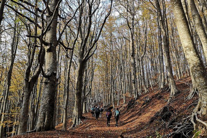 Hiking on Faito Mountain from Sorrento - Detailed Breakdown of the Experience
