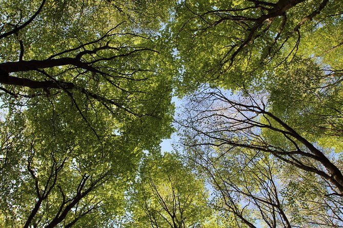 Hiking on Faito Mountain from Sorrento - The Sum Up: The Right Choice for Active Nature Lovers