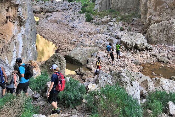 Hiking Private Tour in Pollensa - An Overview of What to Expect