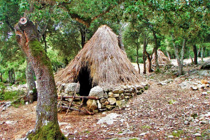 Hiking Private Tour in Pollensa - Who Should Consider This Tour?
