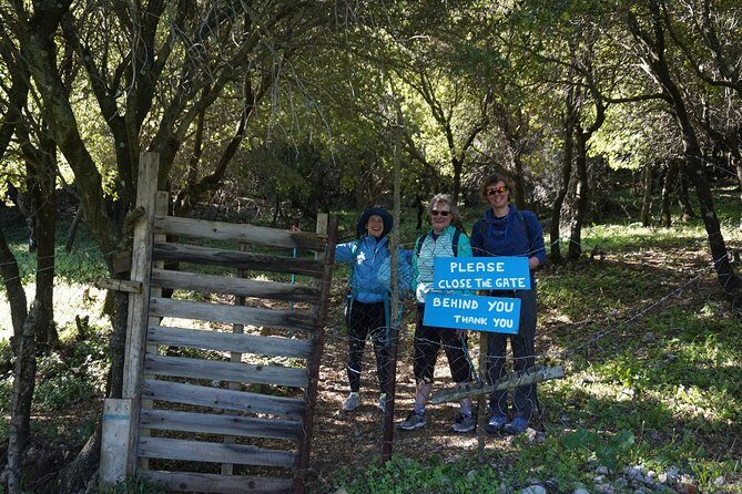 Hiking Profitis Ilias Mountain - pick up service available - An In-Depth Look at the Experience