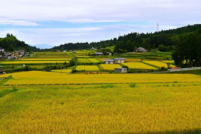 Hiking the Historic Nakasendo Trail- 1 Day Tour from Nagoya - The Guides and Transportation