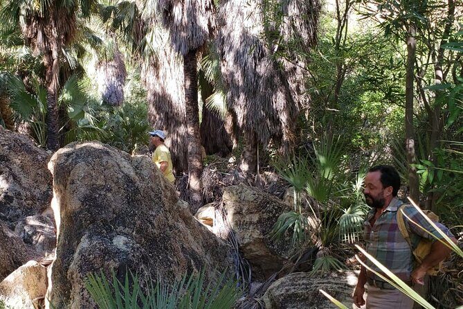 Hiking to Desert Palm Oases of San Carlos with a Biologist - Practical Details on the Tour
