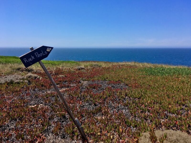 Hiking Tour Along the West Coastline - An Immersive Coastal Hike with Surprises