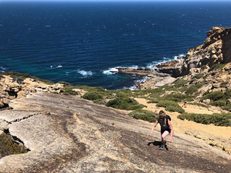 Hiking Tour Along the West Coastline - What Makes This Tour Stand Out