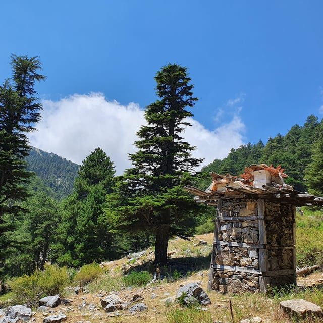 Hiking Tour At The Taurus Mountains of Alanya - The Real Value in This Experience
