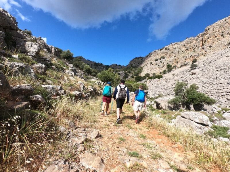 Hiking Tour Exploring Lindos - Practical Details: What You Can Expect