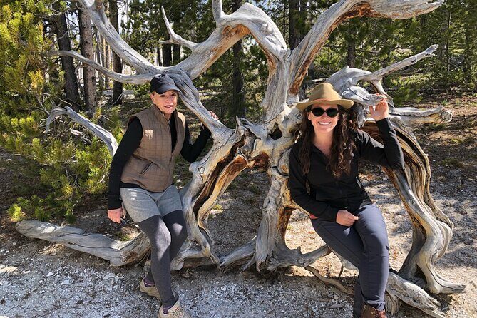 Hiking Tour: Hidden Gems | West Yellowstone | PRIVATE + Lunch - An In-Depth Look at the Private Yellowstone Hiking Experience