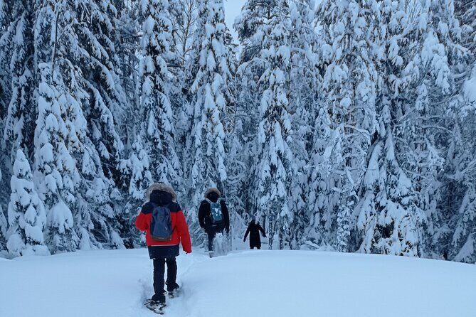 Hiking tour in Nuuksio National Park with meal and snacks - A Closer Look at the Itinerary and Experience
