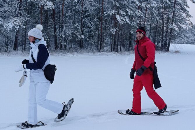 Hiking tour in Nuuksio National Park with meal and snacks - Final Thoughts: Is This Tour Right for You?