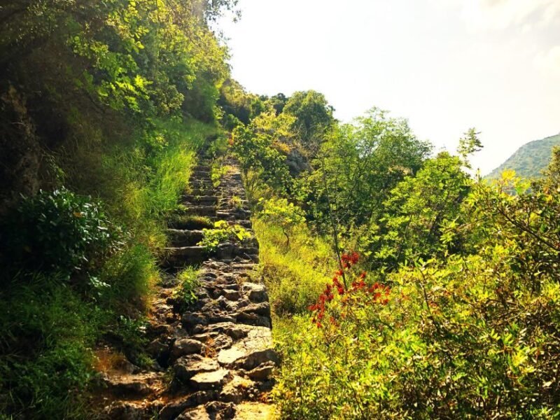 Hiking tour in Souli plateau, Kougi and Skala Tzavelena - Authenticity and Authentic Experiences