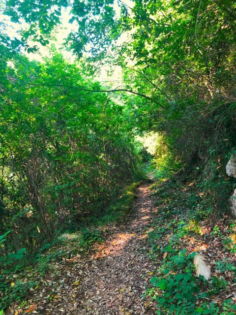Hiking tour in Souli plateau, Kougi and Skala Tzavelena - Who Would Love This Tour?