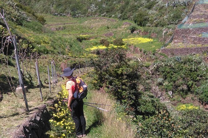 Hiking tour in the Anaga biosphere reserve in Tenerife - Itinerary Breakdown: What to Expect