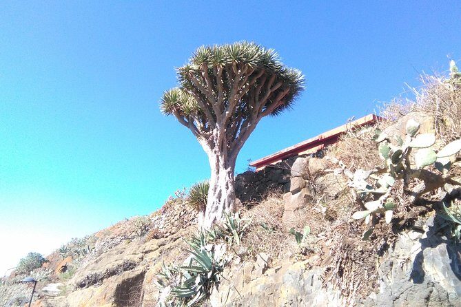 Hiking tour in the Anaga biosphere reserve in Tenerife - FAQ