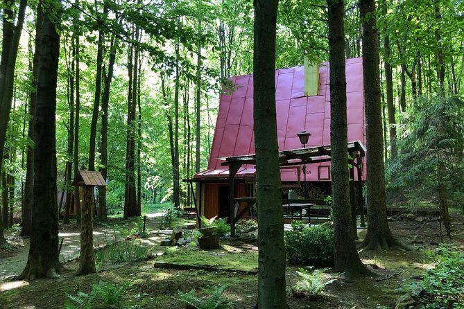 Hiking Tour in the Small Carpathians - In the track of forest people - An Authentic Walk in Slovak Forest with a Storytelling Twist