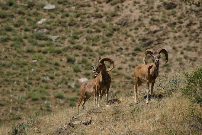 Hiking tour to Hayat, Uhum and Asraf villages  4 days - The Sum Up