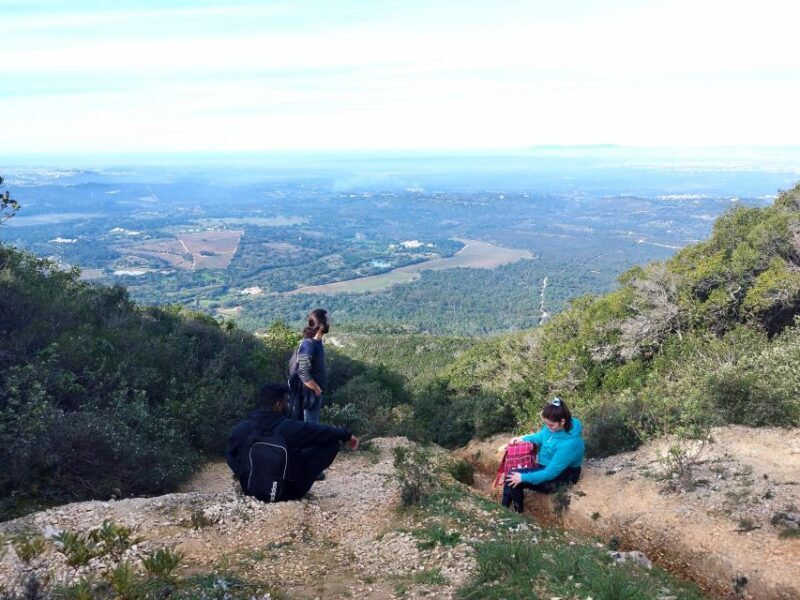 Hiking Tour to the highest point of Arrábida Mountain - Who Will Love This Tour?