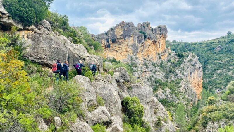 Hiking Tour to the Roman Aqueduct of Pena Cortada - An In-Depth Look at the Tour