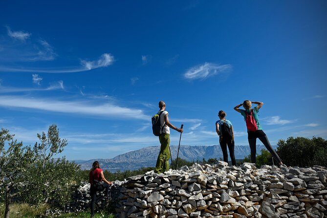 Hiking tour Vidova gora and visiting Museum of olive oil - The Sum Up
