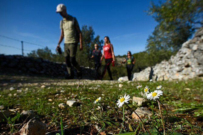Hiking tour Vidova gora and visiting Museum of olive oil - FAQ