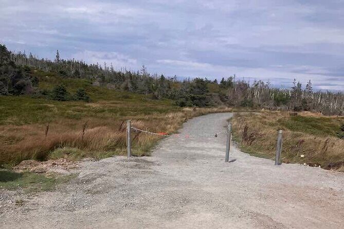 Hiking Trail at Louisbourg Lighthouse Scenic Coastal Views Tour - What the Reviews Say (and What They Might Mean for You)