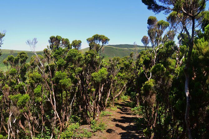 Hiking Trail: Passagem das Bestas - Terceira Island - Key Points