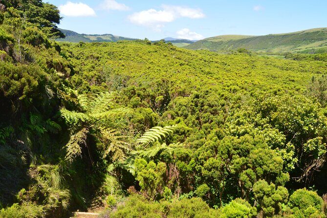 Hiking Trail: Passagem das Bestas - Terceira Island - Who Should Consider This Tour?