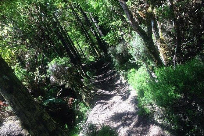Hiking Trail Rocha Do Chambre | Terceira Island - FAQs