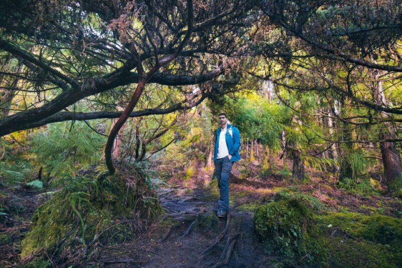 Hiking Trails - An In-Depth Look at the Itinerary