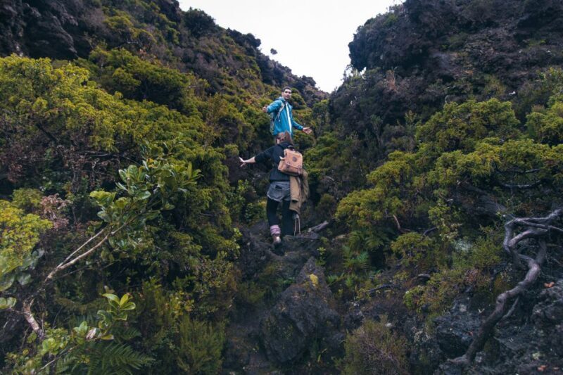Hiking Trails - The Sum Up: Who Is This Tour Best For?