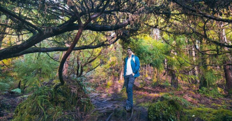 Hiking Trails - Exploring Terceiras Natural Wonders on Foot
