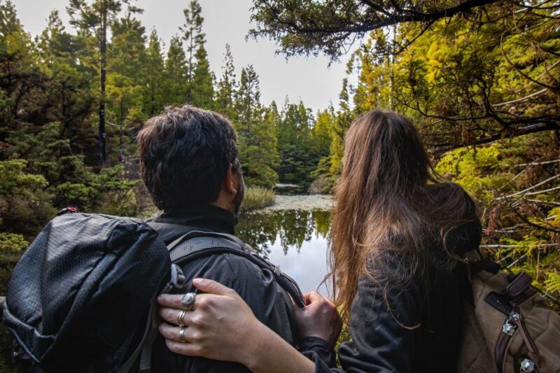 Hiking Trails - Who Will Love This Tour?