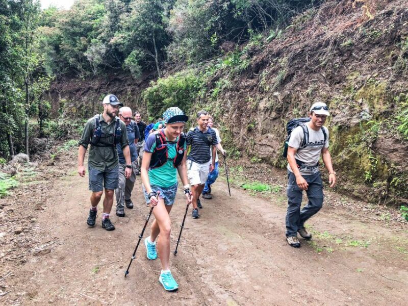 Hiking Trip with a Local - Key Points