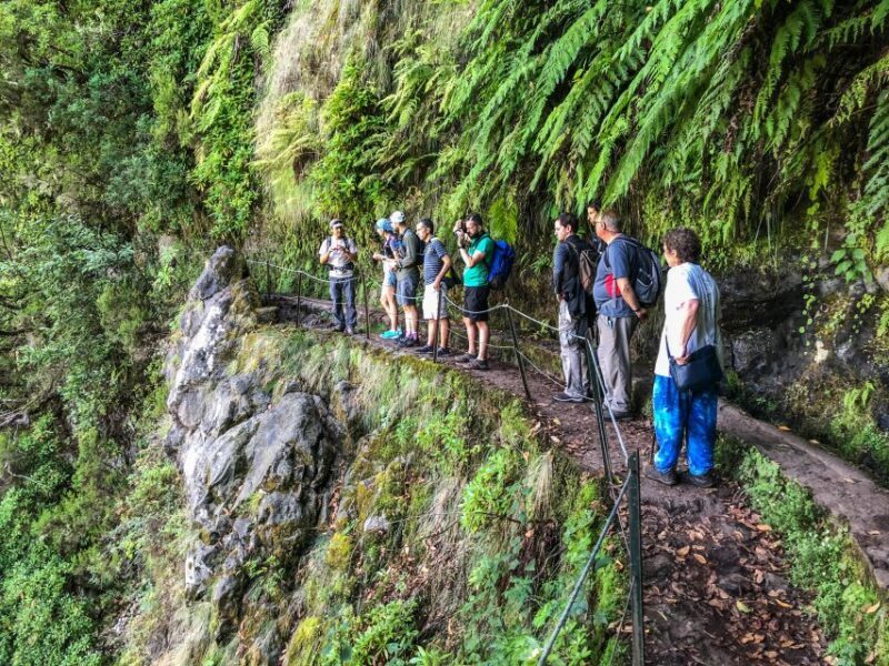 Hiking Trip with a Local - The Value of a Private, Guided Hike in Madeira