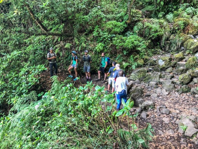 Hiking Trip with a Local - Transportation, Timing, and Practical Details