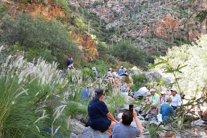 Hiking Ventana Canyon and Sabino Canyon - Exploring Tucson’s Catalina Mountains: Hiking Ventana Canyon and Sabino Canyon