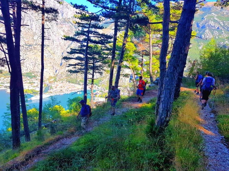 Hiking Vrmac peninsula with panoramic view on Kotor bay - Value for Money