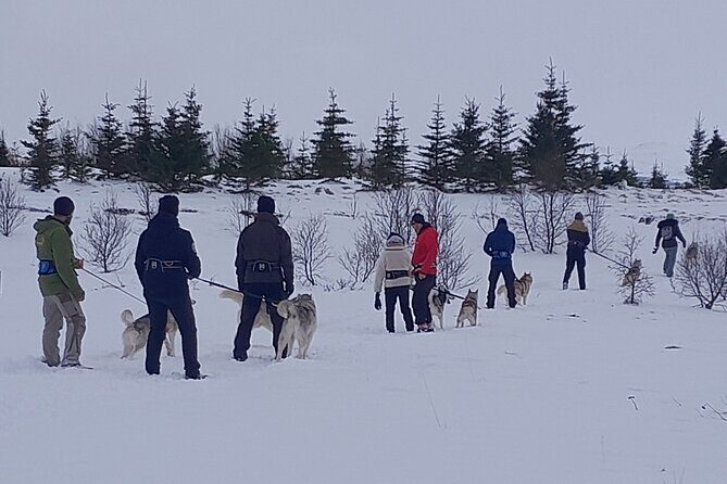 Hiking with Husky in Akureyri - Duration, Location, and Practicalities