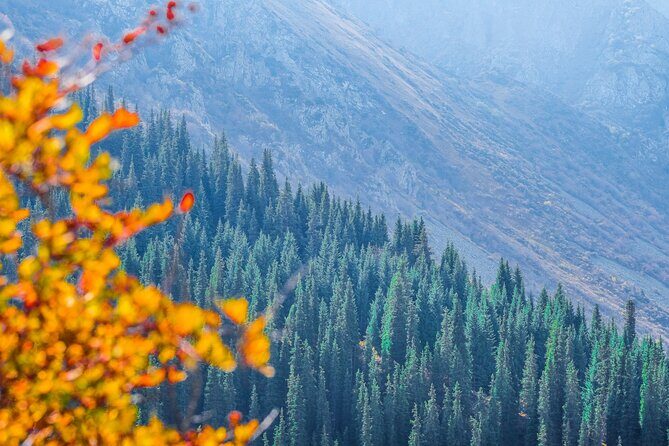 Hiking wonderland Ala Archa National Park - An In-Depth Look at the Ala Archa National Park Tour