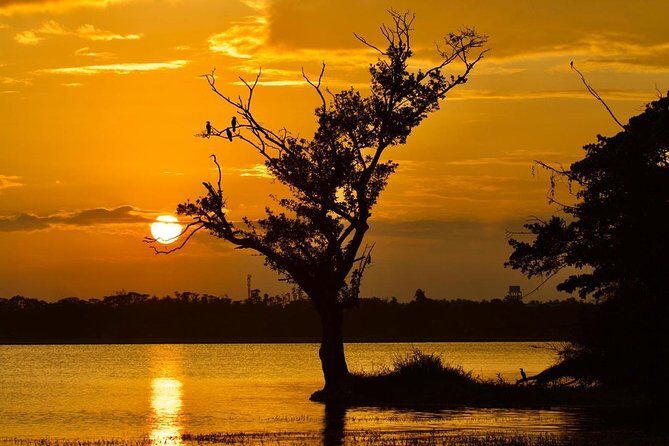 Hikkaduwa Day Excursion - Key Points