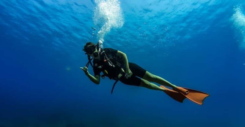 Hikkaduwa: Discover Scuba Diving Experience with Guide - Key Points