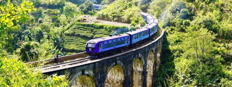 Hikkaduwa/Galle/Weligama/Mirissa: Day Trip to Ella Highlands - Key Points