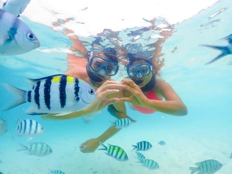 Hikkaduwa Snorkeling Tour: 2 Hours of Underwater Adventure - Why Choose the Hikkaduwa Snorkeling Tour?
