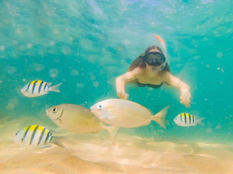 Hikkaduwa Snorkeling Tour: 2 Hours of Underwater Adventure - Who Is This Tour Best For?