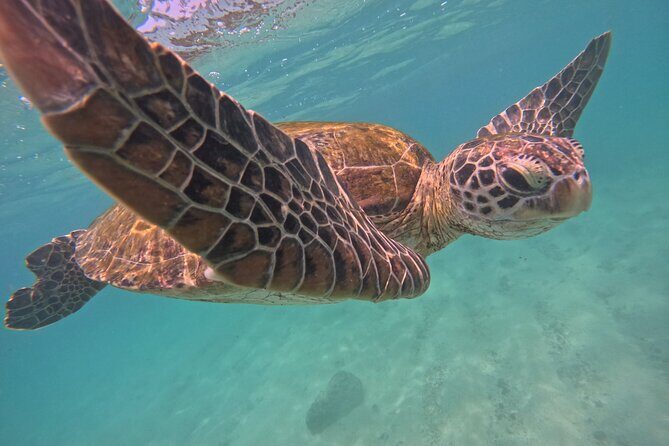 Hikkaduwa Unforgettable Snorkeling Experience - Real Travelers Perspectives