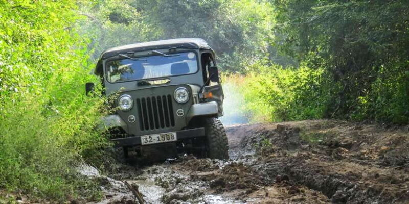 Hikkaduwa: Yala National Park Safari with Hotel Pickup - A Close Look at the Yala National Park Safari from Hikkaduwa
