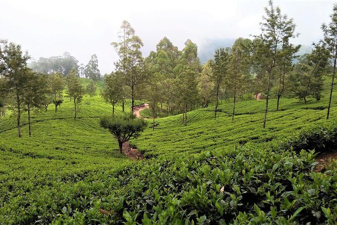 Hill Country 2 Days Private Tour - A Deep Dive into the Experience